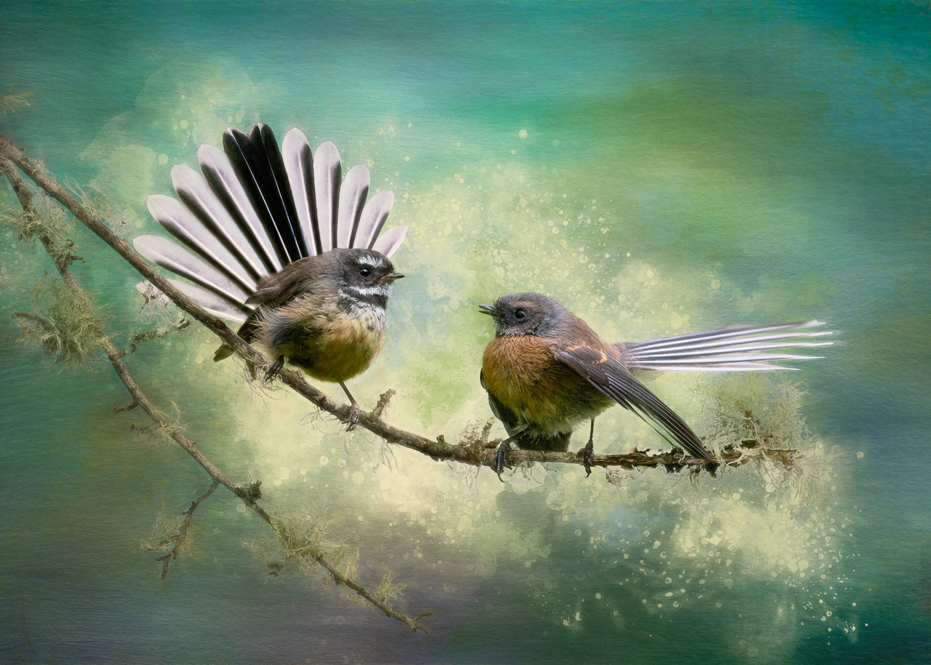 Wildlife Artist Bird Paintings Artist Captures The Ethereal Beauty Of